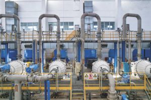Moving Forward Together – Liansheng Pulp & Paper’s Greenfield ...